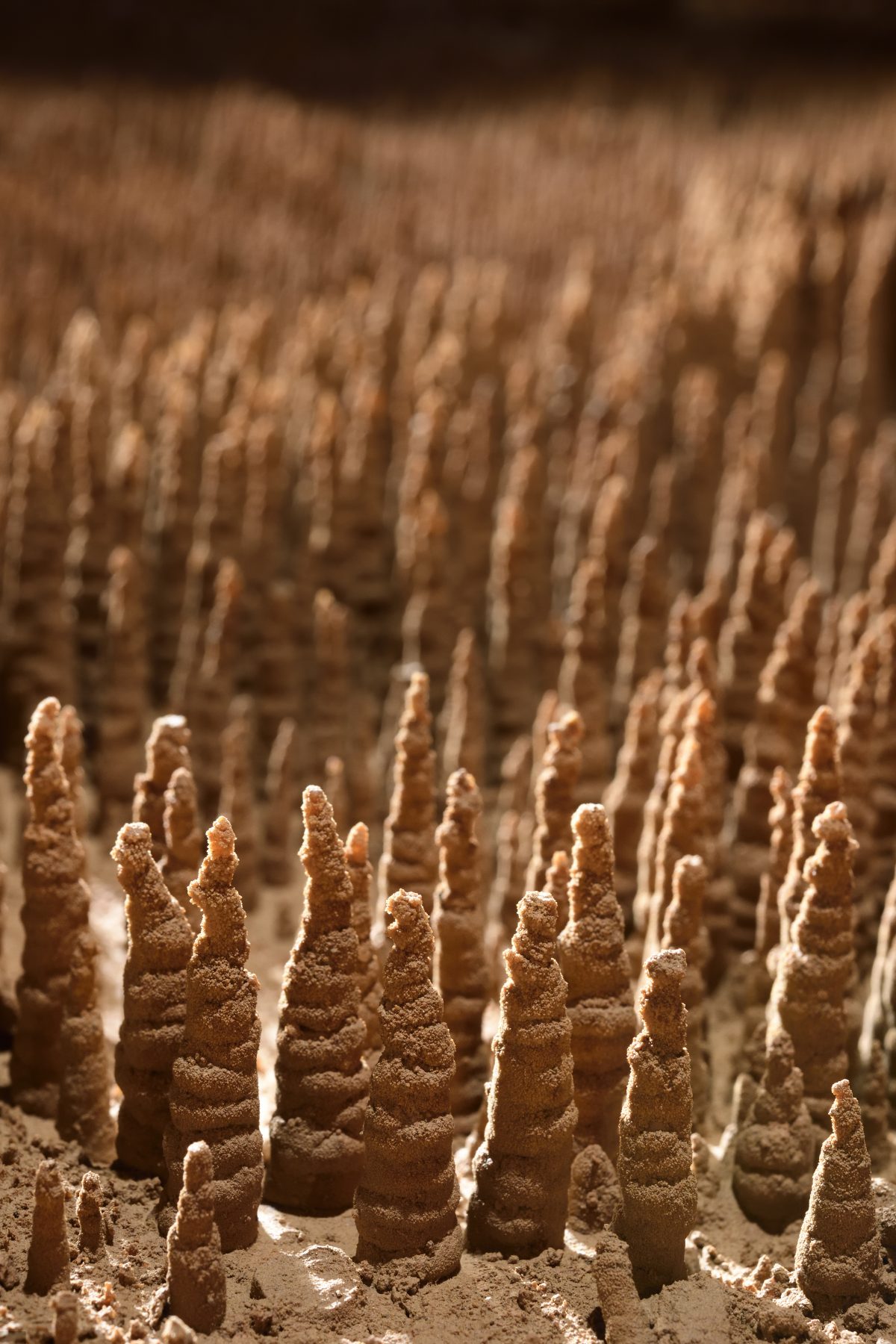 Le mystère des 100 000 soldats – Grotte de Trabuc